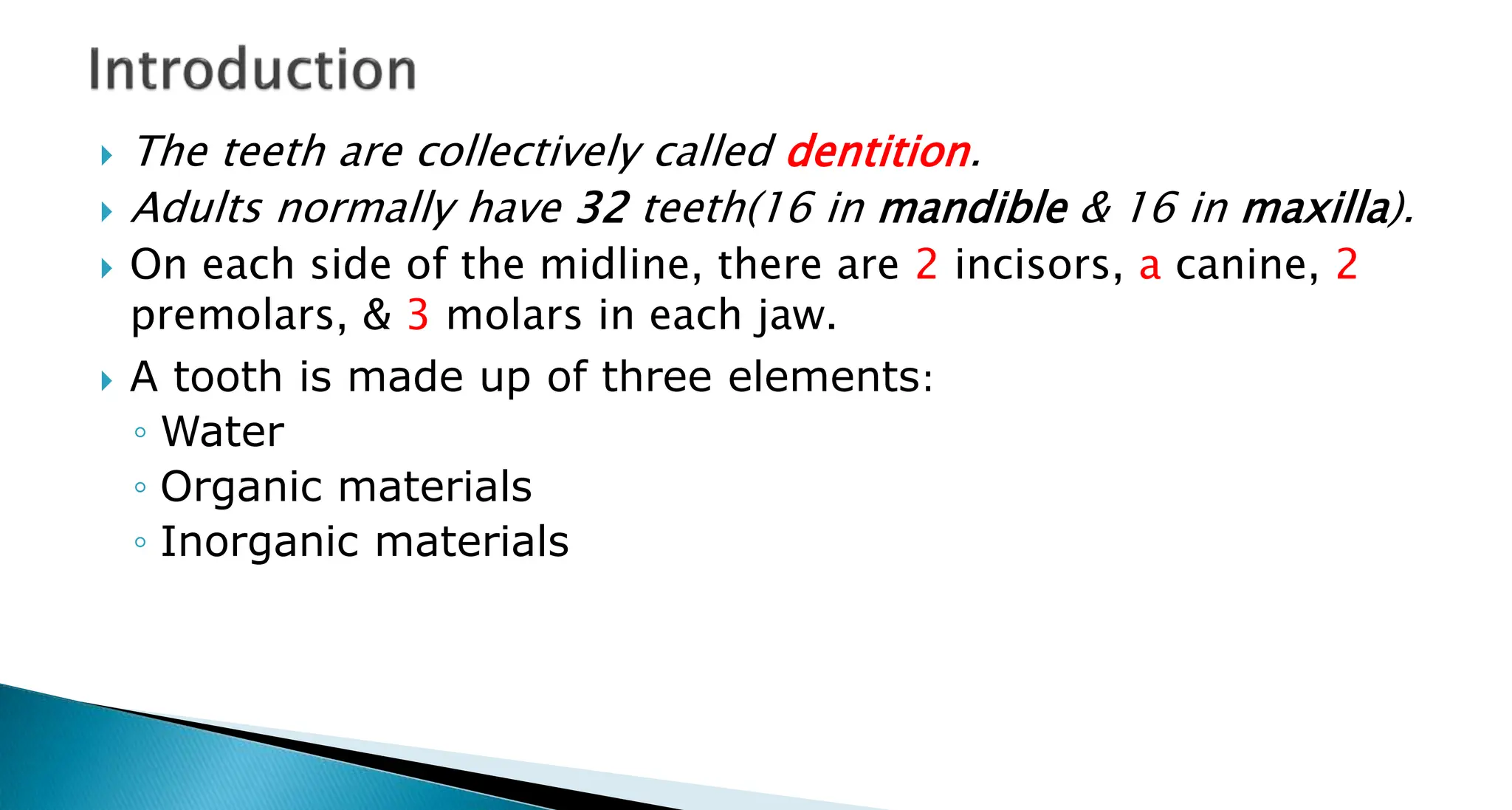 4. Dental Anatomy.pptx