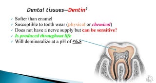 4. Dental Anatomy.pptx