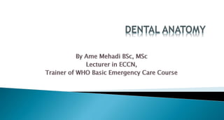 4. Dental Anatomy.pptx