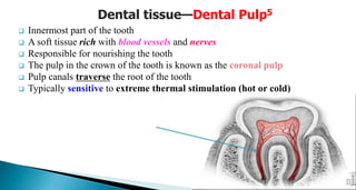4. Dental Anatomy.pptx