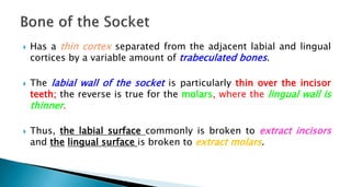 4. Dental Anatomy.pptx