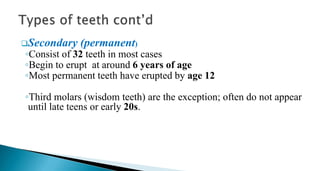 4. Dental Anatomy.pptx