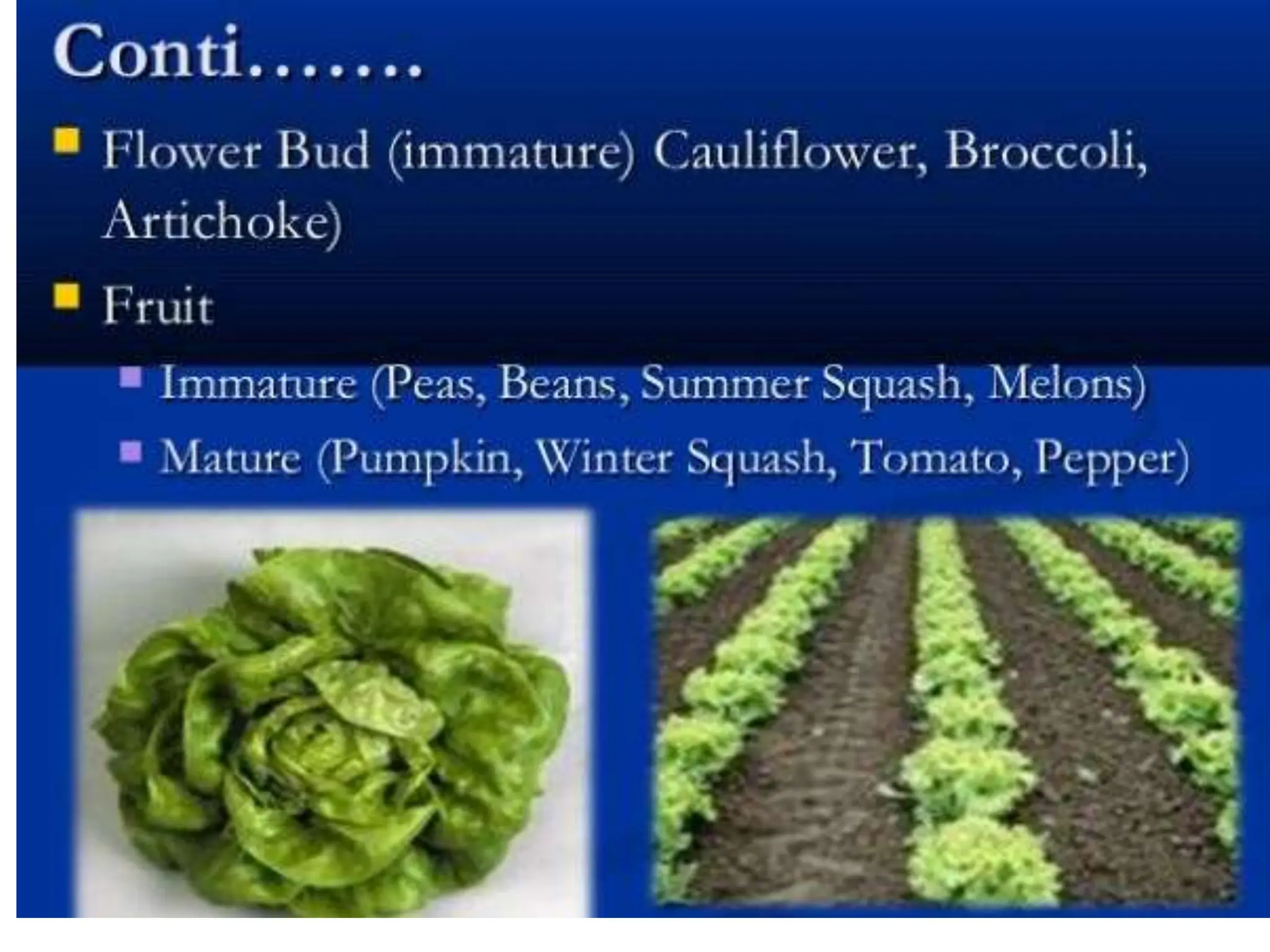 4. Classification of vegetables crops.pptx