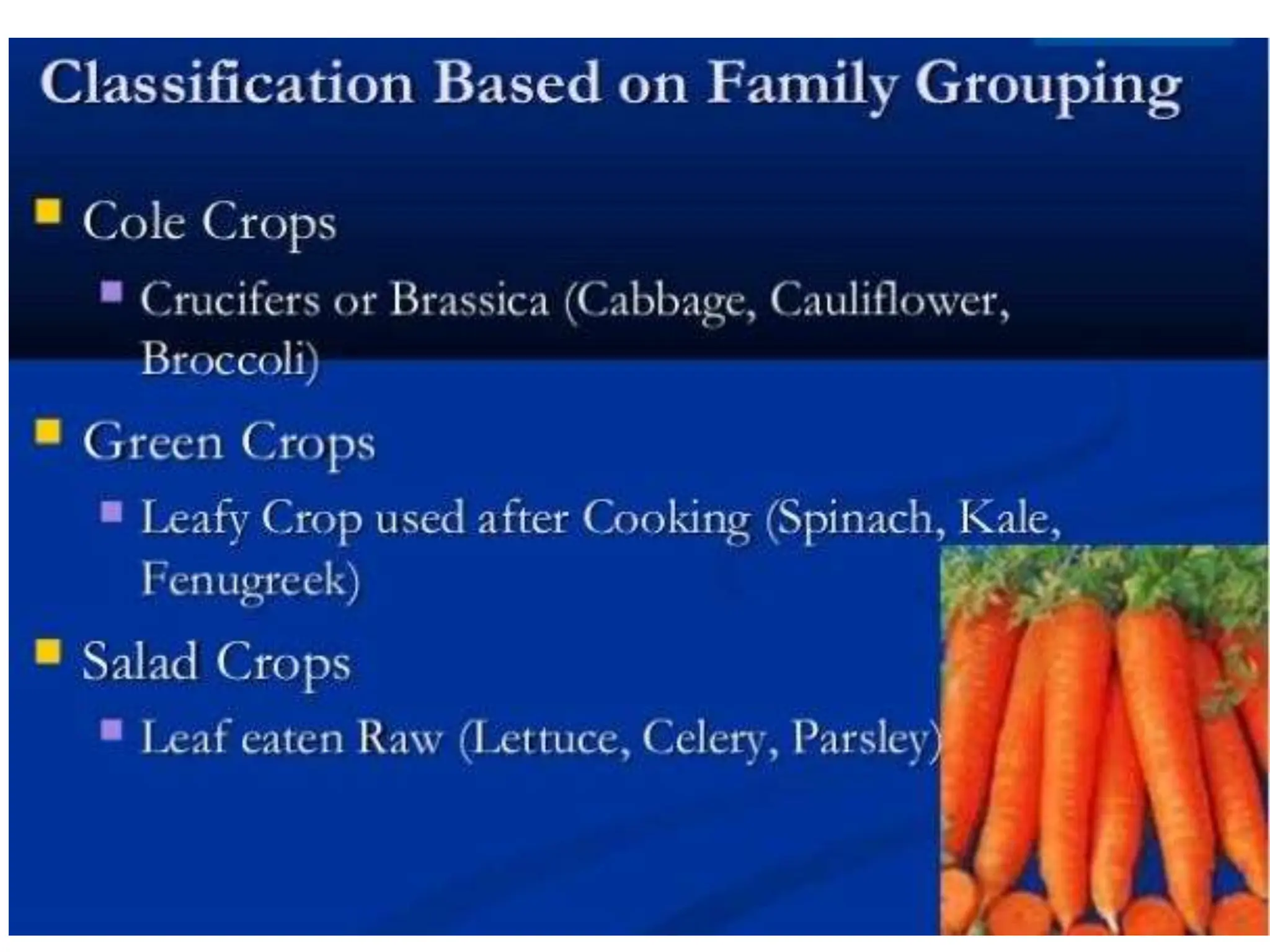 4. Classification of vegetables crops.pptx