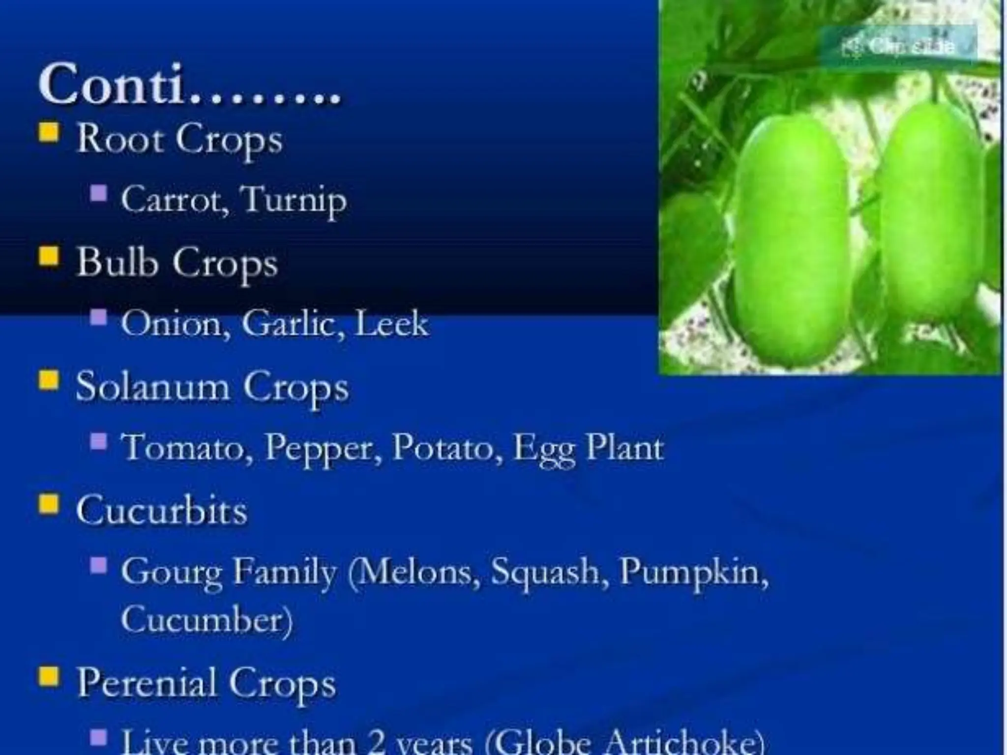 4. Classification of vegetables crops.pptx