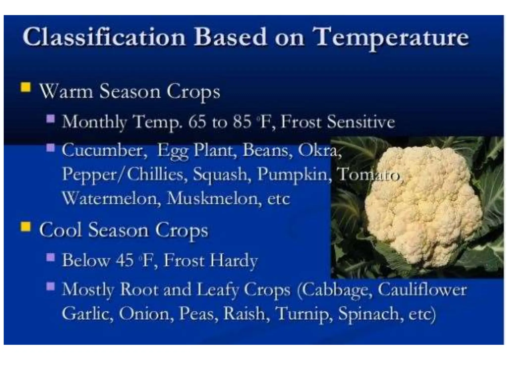 4. Classification of vegetables crops.pptx