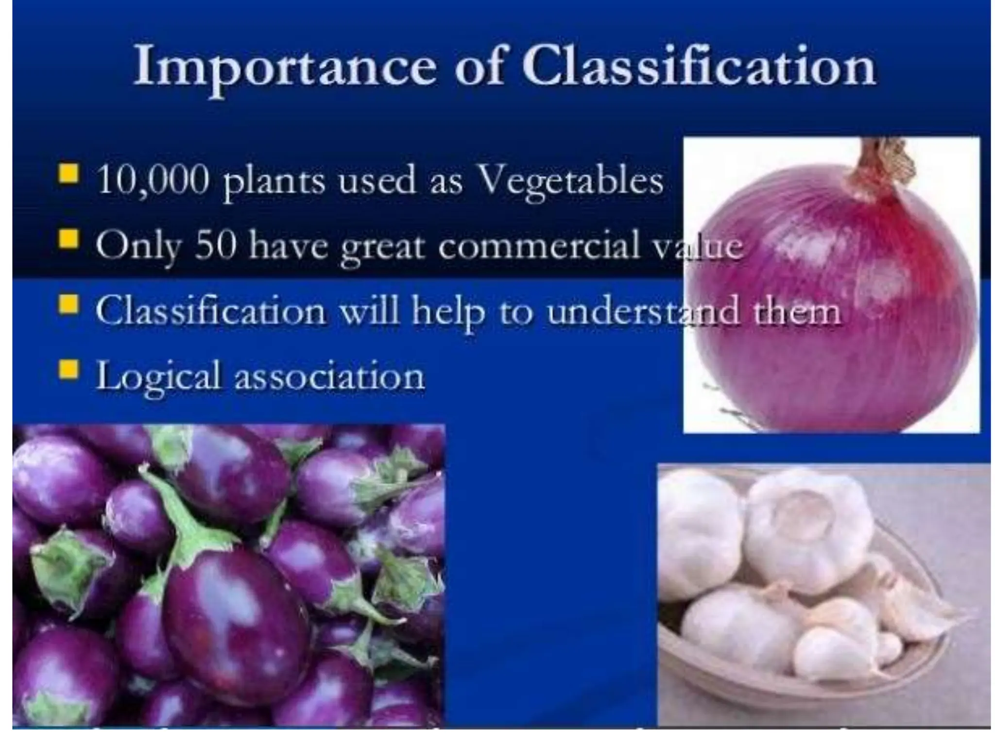 4. Classification of vegetables crops.pptx