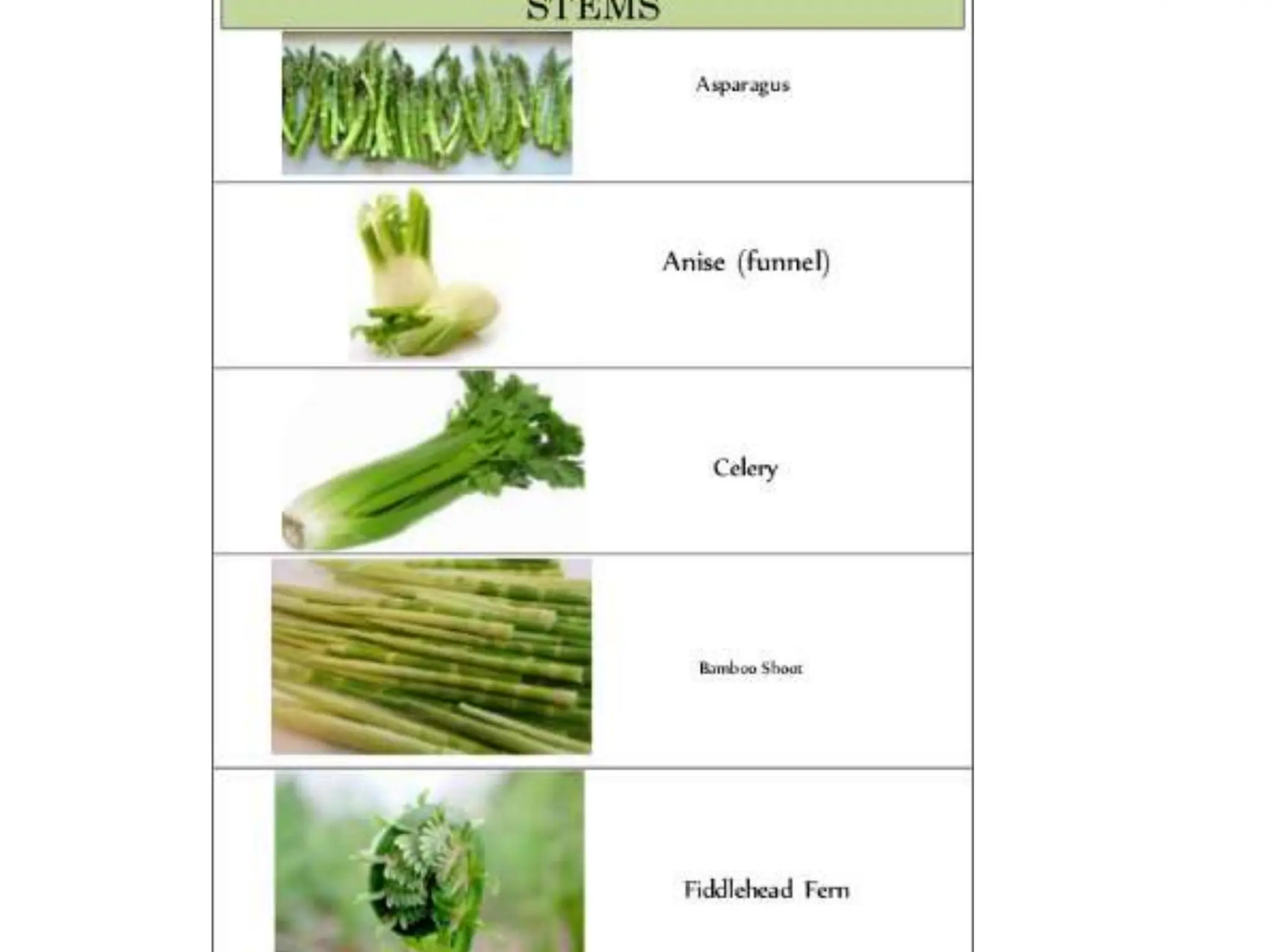 4. Classification of vegetables crops.pptx