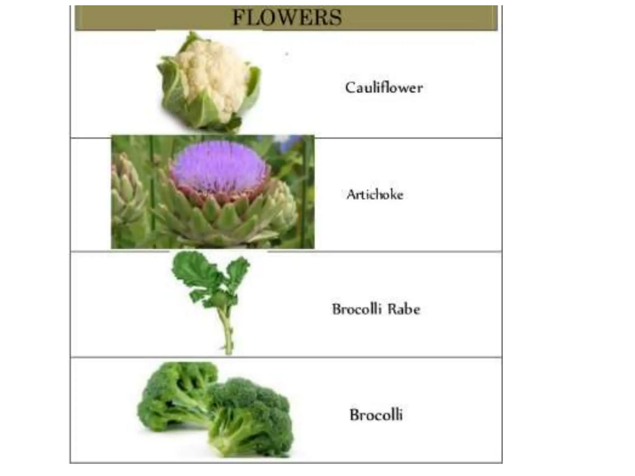 4. Classification of vegetables crops.pptx