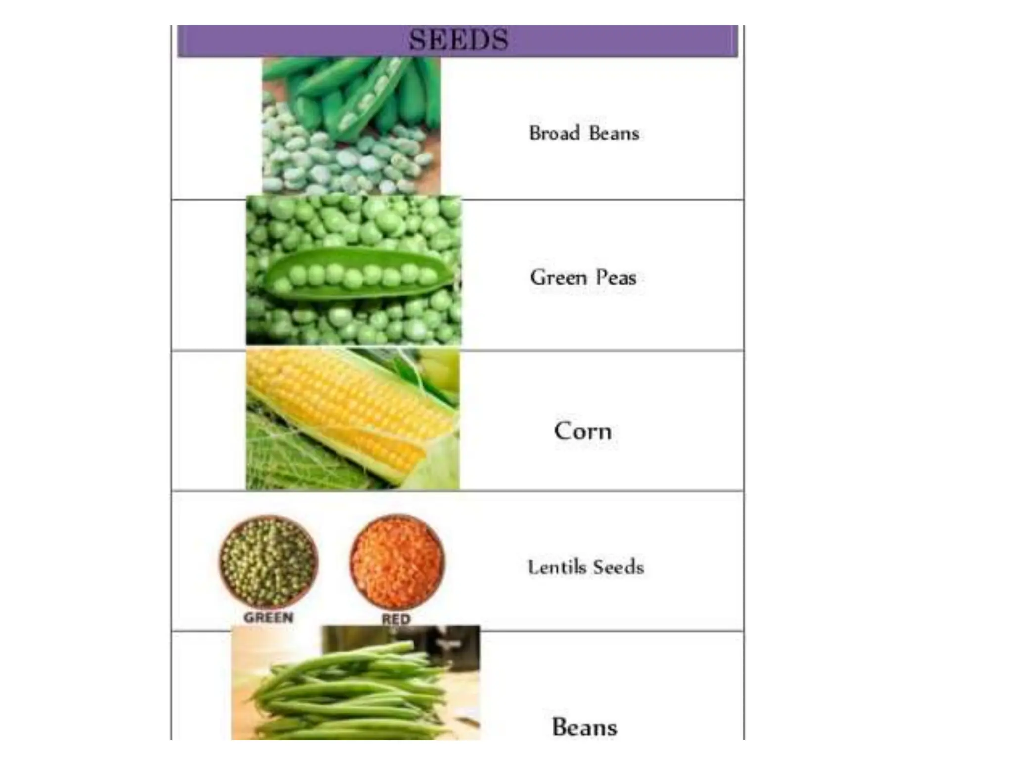 4. Classification of vegetables crops.pptx