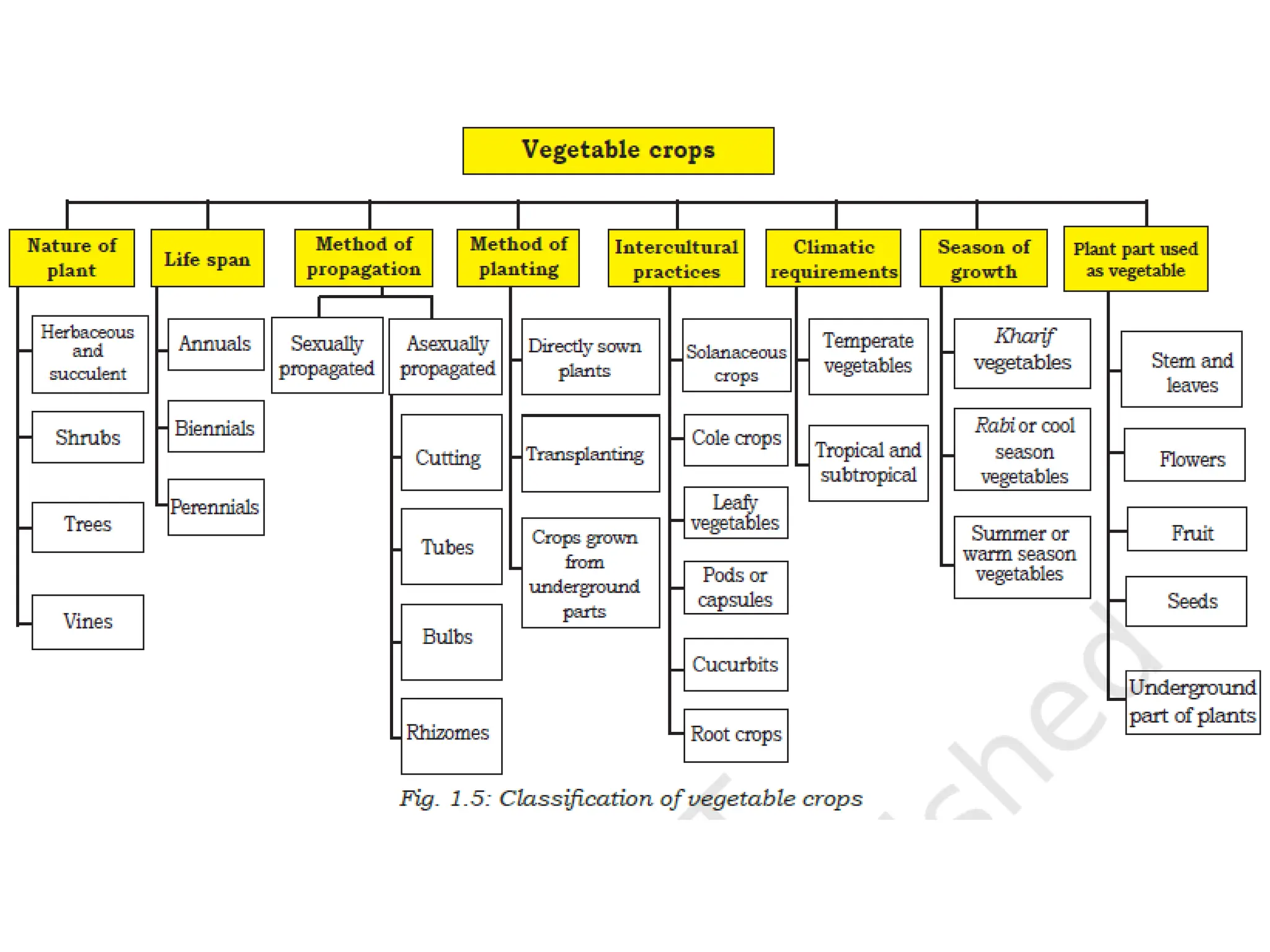 4. Classification of vegetables crops.pptx