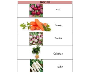 4. Classification of vegetables crops.pptx