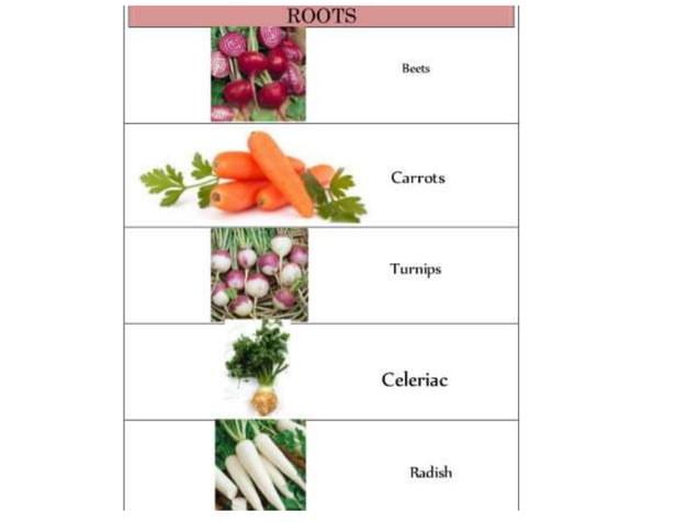 4. Classification of vegetables crops.pptx