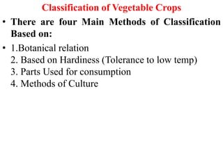 4. Classification of vegetables crops.pptx