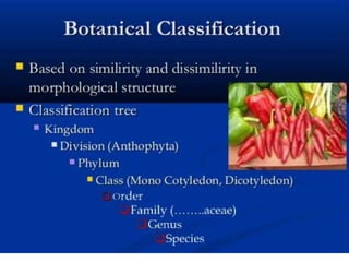 4. Classification of vegetables crops.pptx