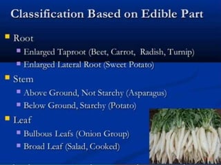 4. Classification of vegetables crops.pptx