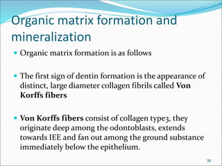 4.DENTIN.ppt dental histology 1st year Bds | PPT