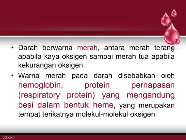 Anatomi Fisiologi sel darah manusia (sel darah Merah) | PDF