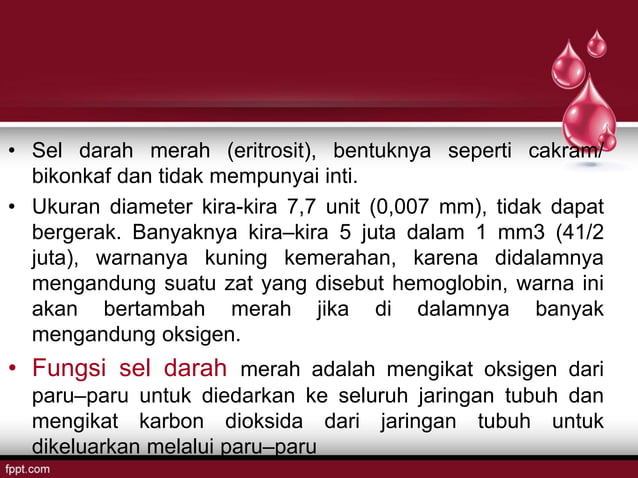 Anatomi Fisiologi sel darah manusia (sel darah Merah) | PDF