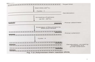 4. Brief introduction to Polymerase Chain Reaction.pptx