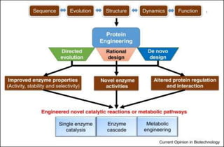 4 . Brief introduction to protein engineering.pptx