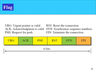 4. tcp header.ppt