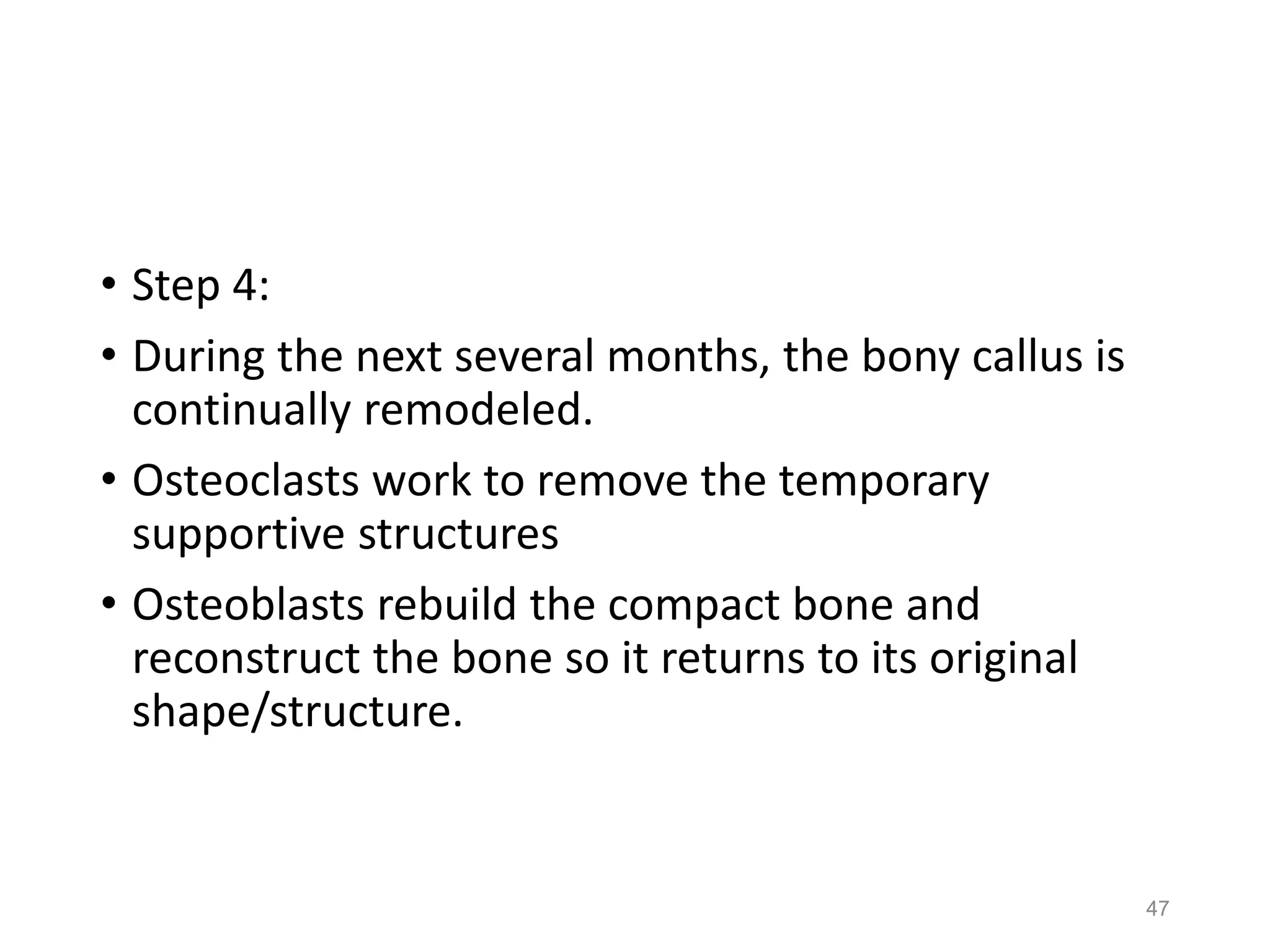 4. Pathology -midwifery stu-Tissue repair(1).ppt