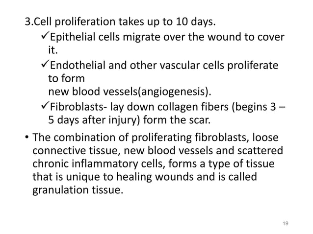 4. Pathology -midwifery stu-Tissue repair(1).ppt