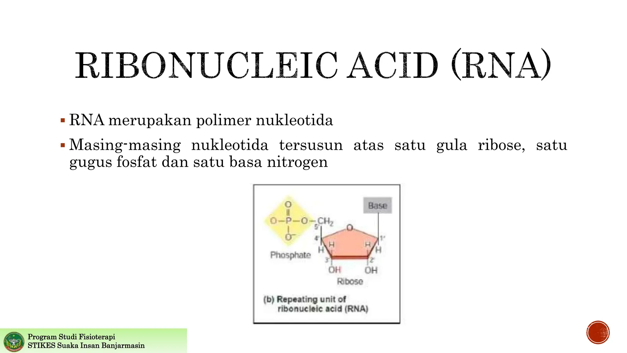 MATERI BIOLOGI MOLEKULER - ASAM NUKLEAT.pptx
