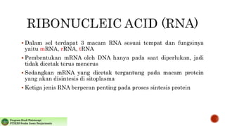 MATERI BIOLOGI MOLEKULER - ASAM NUKLEAT.pptx