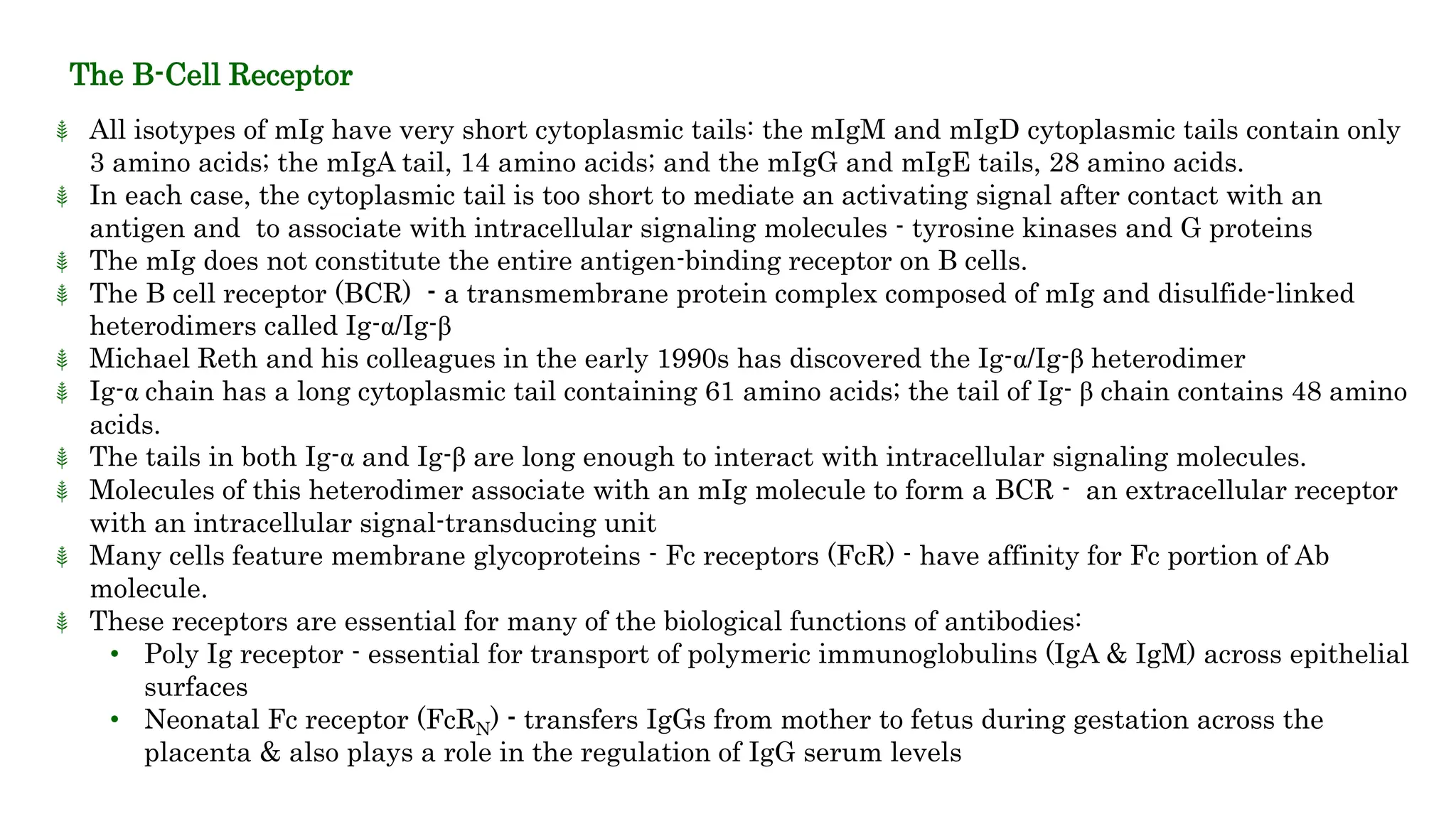 4. Nature of T cell B cell receptors.pptx