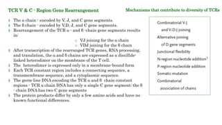 4. Nature of T cell B cell receptors.pptx