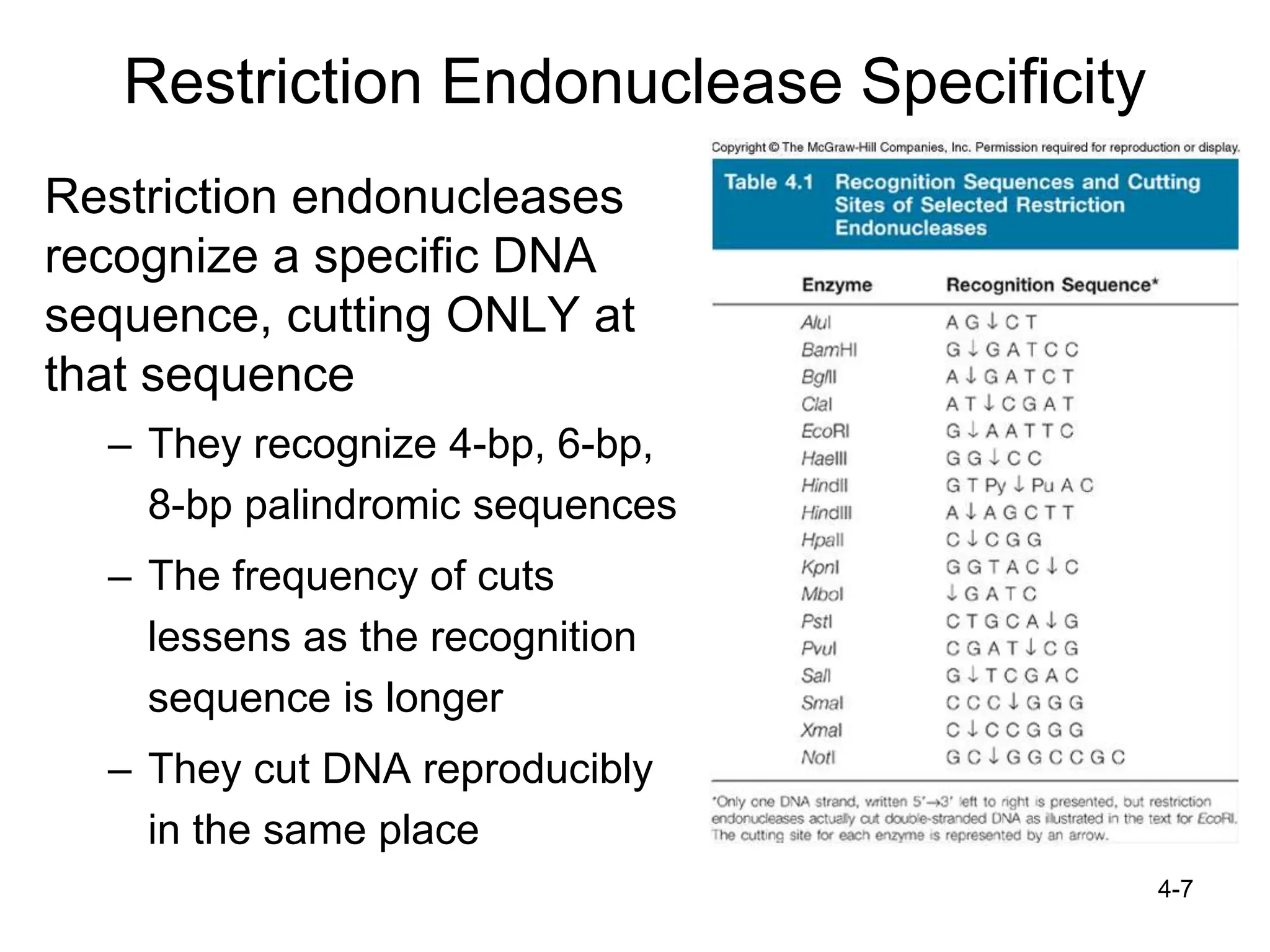 4. 618 Restriction Enzymes and Vectors.ppt