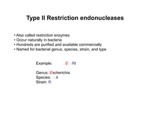 4. 618 Restriction Enzymes and Vectors.ppt