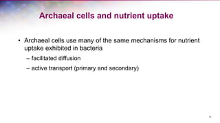 4. Archeal Cell Structure (Prescott).ppt