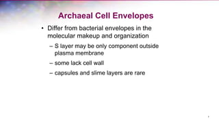 4. Archeal Cell Structure (Prescott).ppt