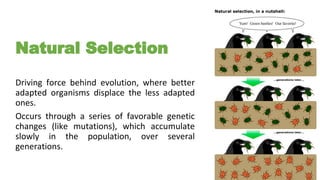4. Mutation, kSelection and Heritage.pdf