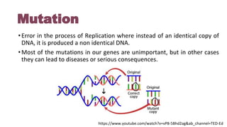 4. Mutation, kSelection and Heritage.pdf