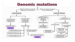 4. Mutation, kSelection and Heritage.pdf