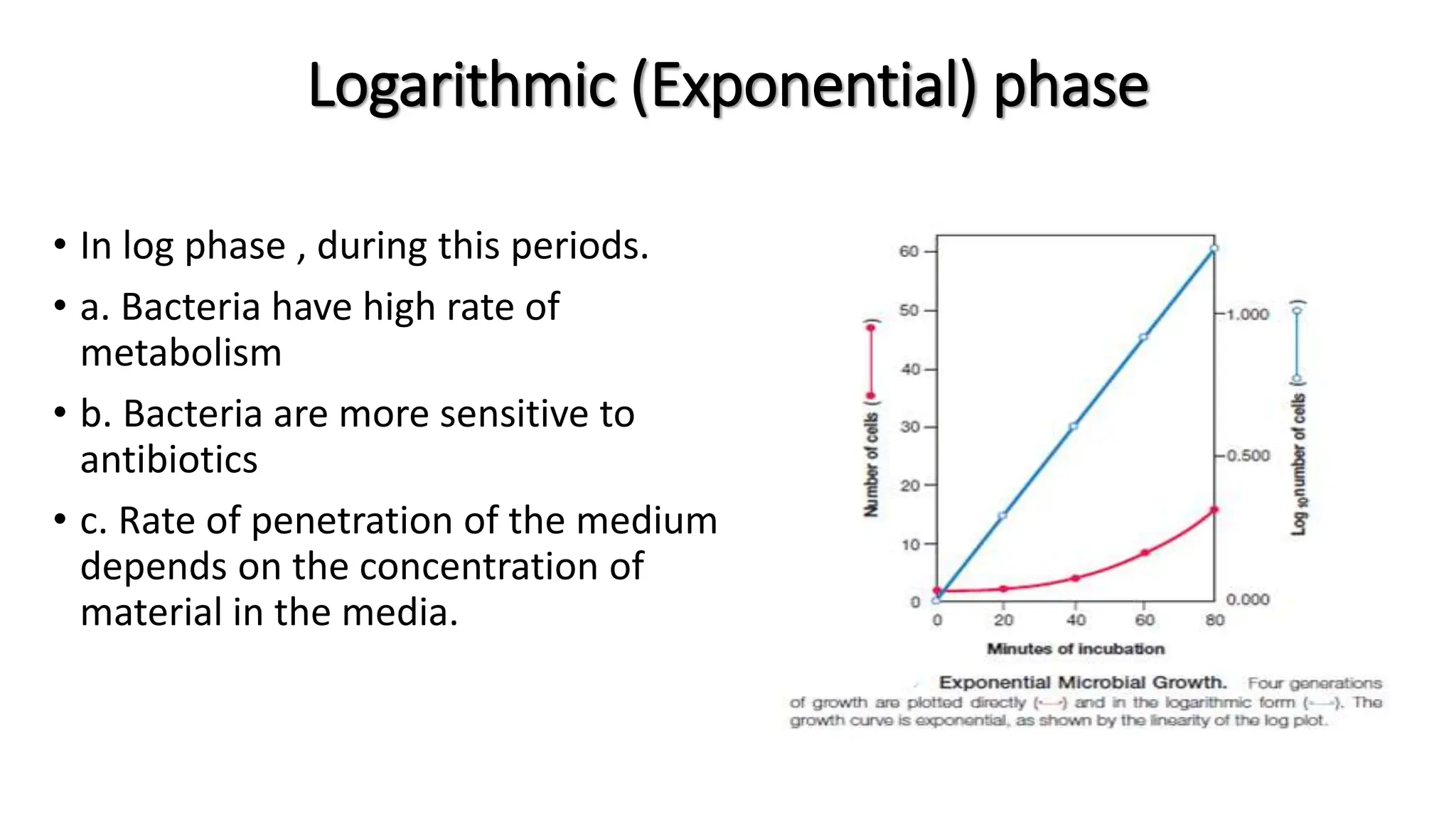 Bacterial growth curve - Characteristics | PPT