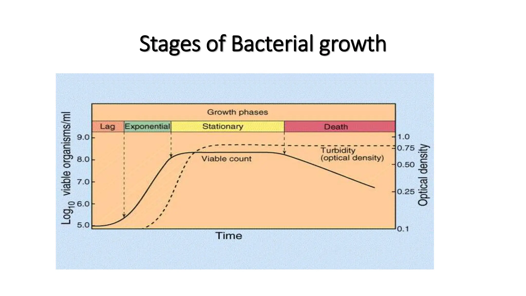 Bacterial growth curve - Characteristics | PPT