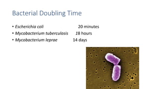 Bacterial growth curve - Characteristics | PPT
