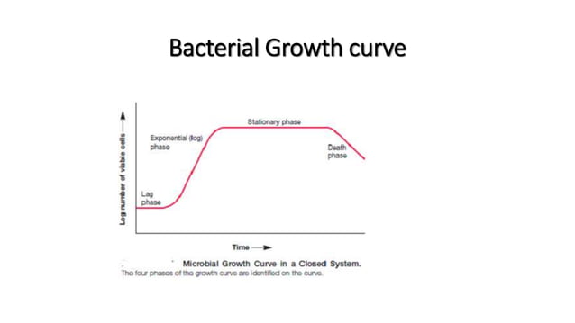 Bacterial growth curve - Characteristics | PPT