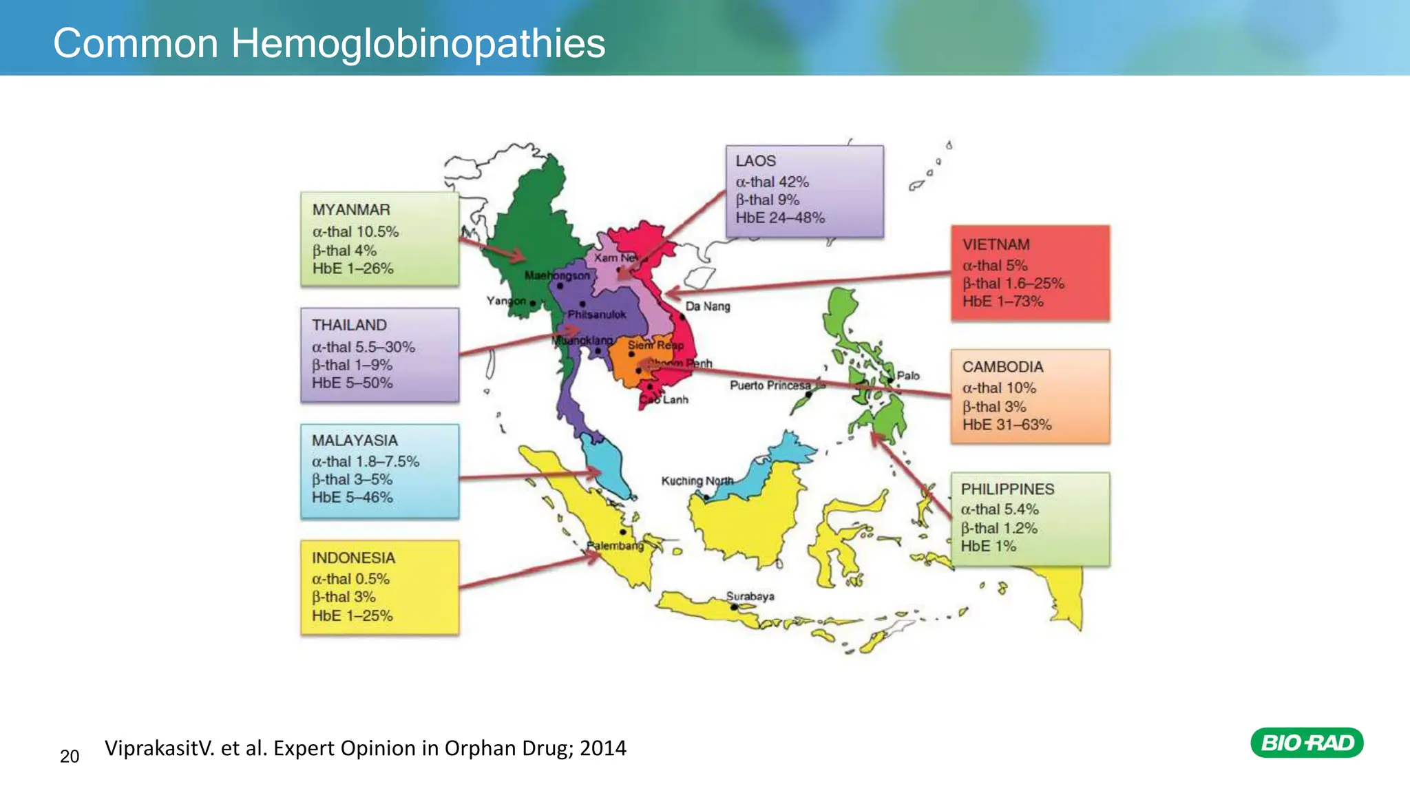 Thalassemia and hemoglobinopathy research | PPTX