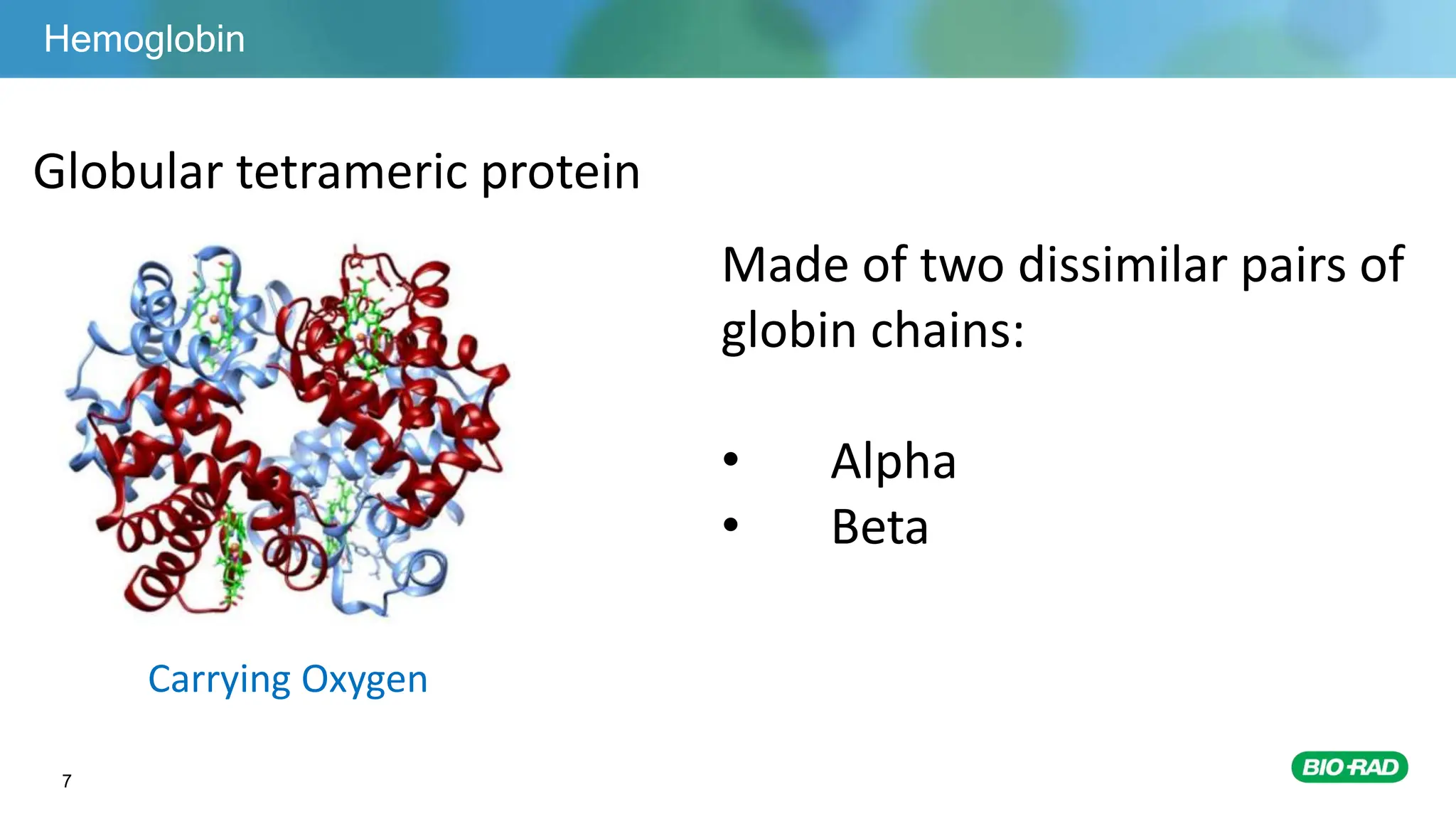 Thalassemia and hemoglobinopathy research | PPTX