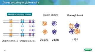 Thalassemia and hemoglobinopathy research | PPTX