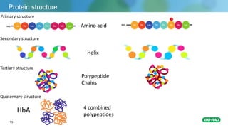 Thalassemia and hemoglobinopathy research | PPTX
