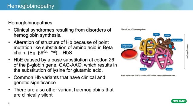 Thalassemia and hemoglobinopathy research | PPT