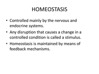 Basic Life Process. HOMEOSTASIS,Feedback Systems, Metabolism ...