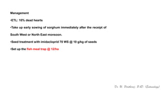Pests of wheat_Identification, Bionomics, Damage symptoms, IPM_Dr.UPR.pdf